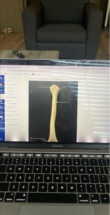 Solved which of the following statement are true regarding | Chegg.com