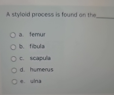 Solved A styloid process is found on the q,a. ﻿femurb. | Chegg.com