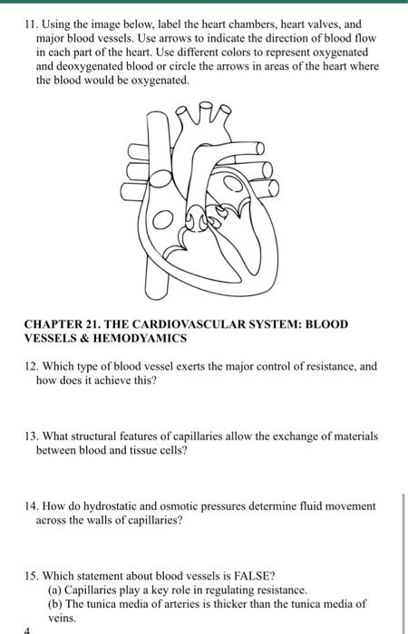 Solved 11. Using the image below, label the heart chambers, | Chegg.com