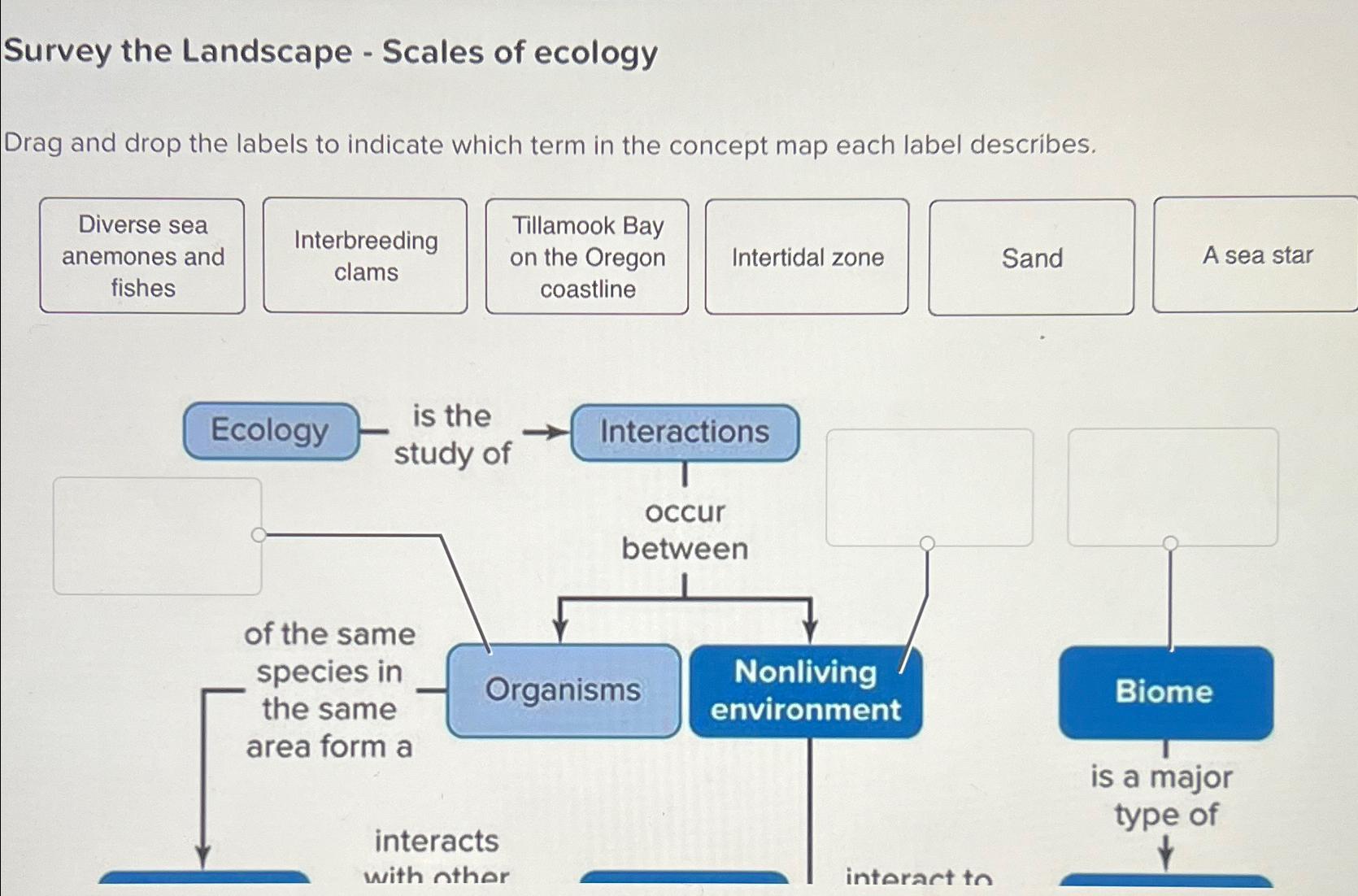 Solved Survey the Landscape - ﻿Scales of ecologyDrag and | Chegg.com