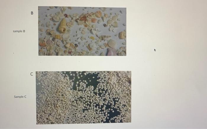 Solved Look at each of the pictures and tell if the sample | Chegg.com