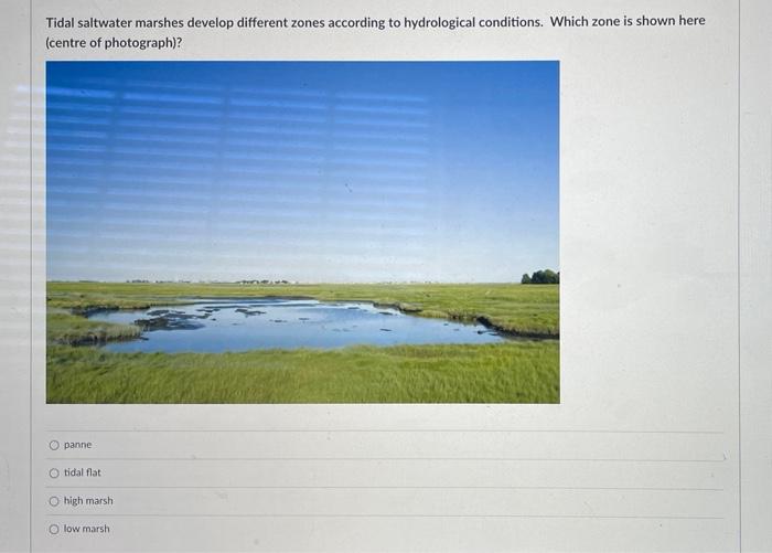 Solved Tidal saltwater marshes develop different zones | Chegg.com