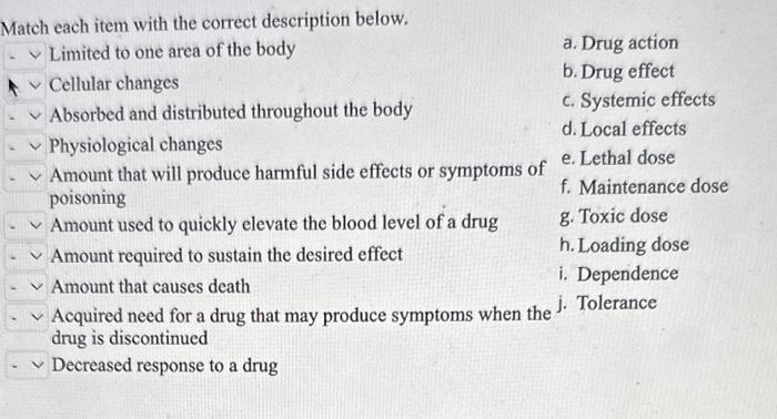 Solved Match each item with the correct description below. | Chegg.com