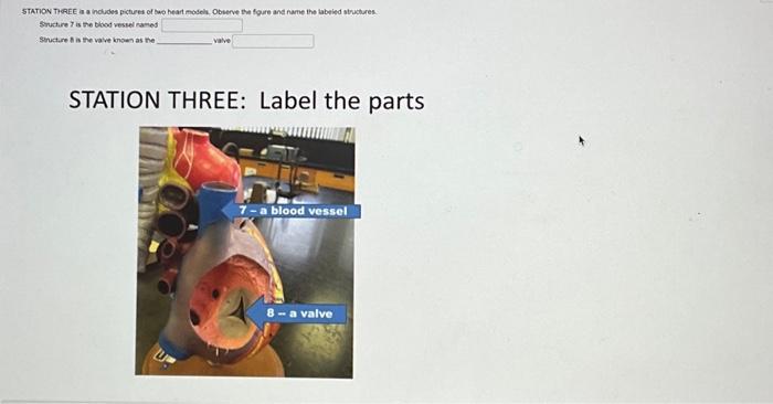 Solved STATION THREE: Label the parts | Chegg.com