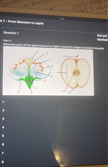 Solved the three images are the option for part and part 2 | Chegg.com