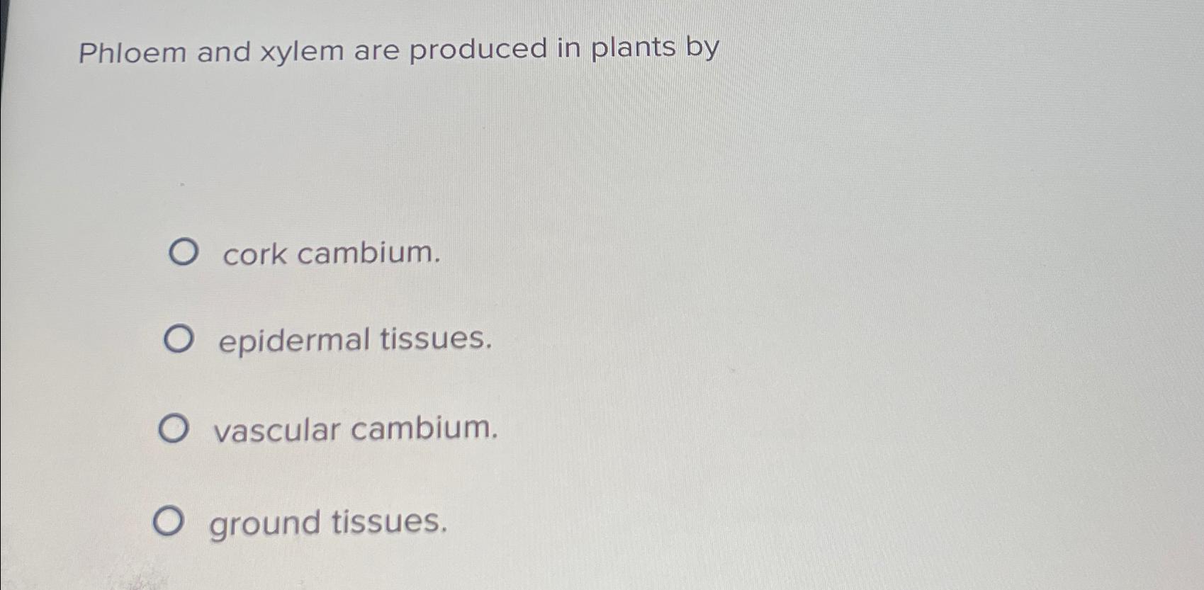 Solved Phloem and xylem are produced in plants bycork | Chegg.com