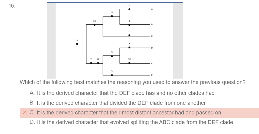 Solved Which of the following is most closely related to a | Chegg.com