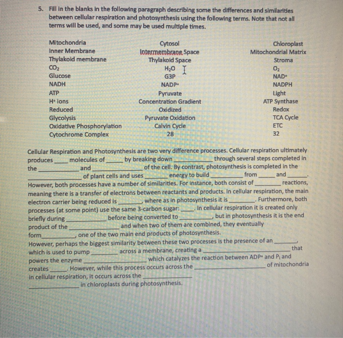 Solved 5. Fill in the blanks in the following paragraph | Chegg.com