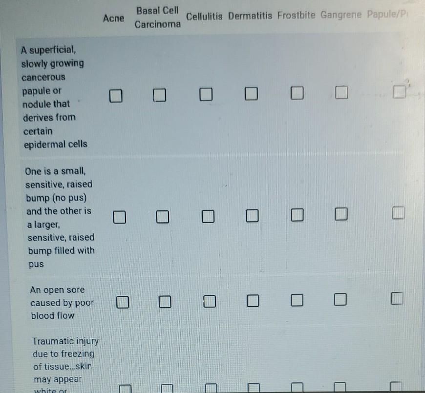 Solved Acne Basal Cell Carcinoma Cellulitis Dermatitis | Chegg.com