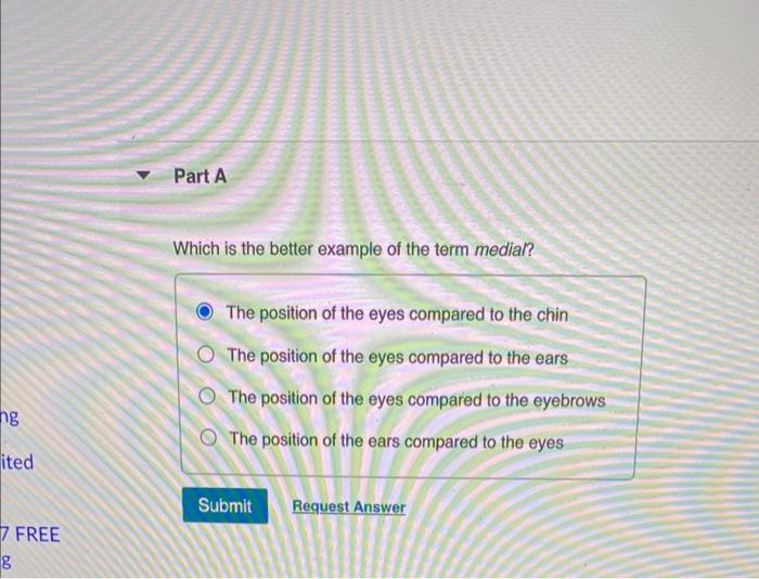 Solved Which is the better example of the term medial? The | Chegg.com