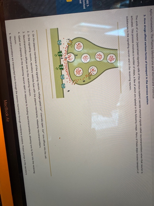 Solved Aplia Homework: The Plasma Membrane and Membrane | Chegg.com