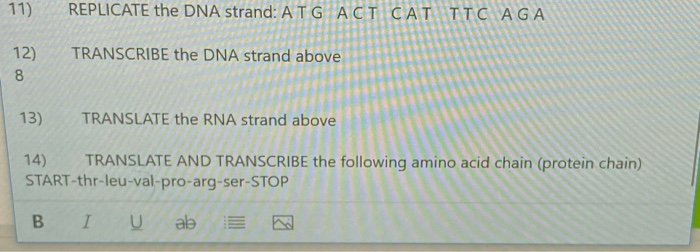 Solved 11) REPLICATE the DNA strand: ATG ACT CAT TTC AGA 12) | Chegg.com