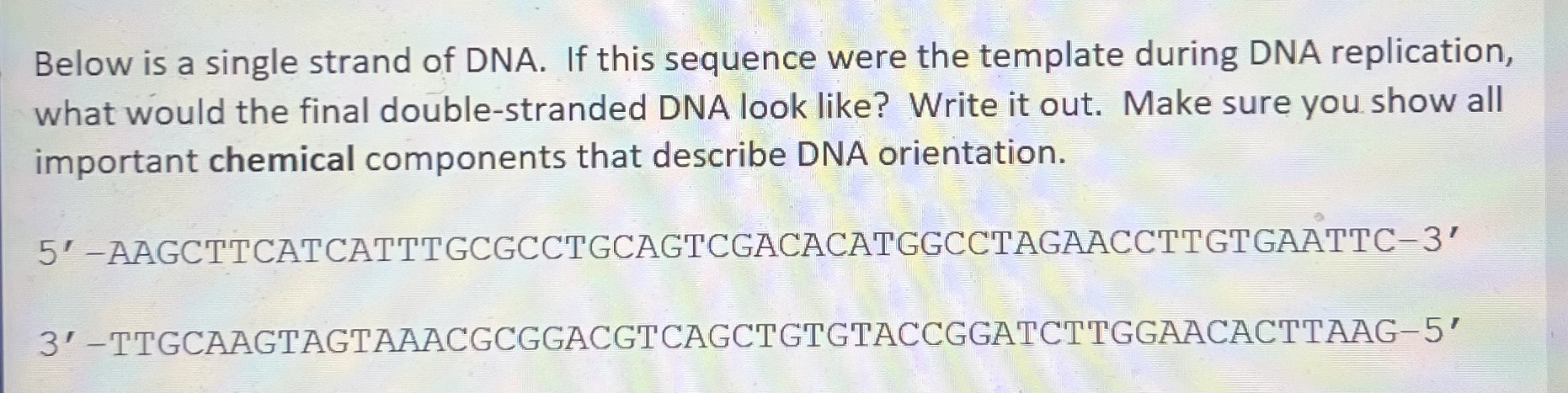 Solved Below is a DNA sequence. Use it to help answer the | Chegg.com