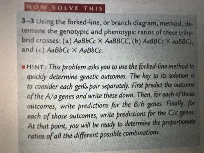 Solved -Complete this assignment by using the fork line | Chegg.com