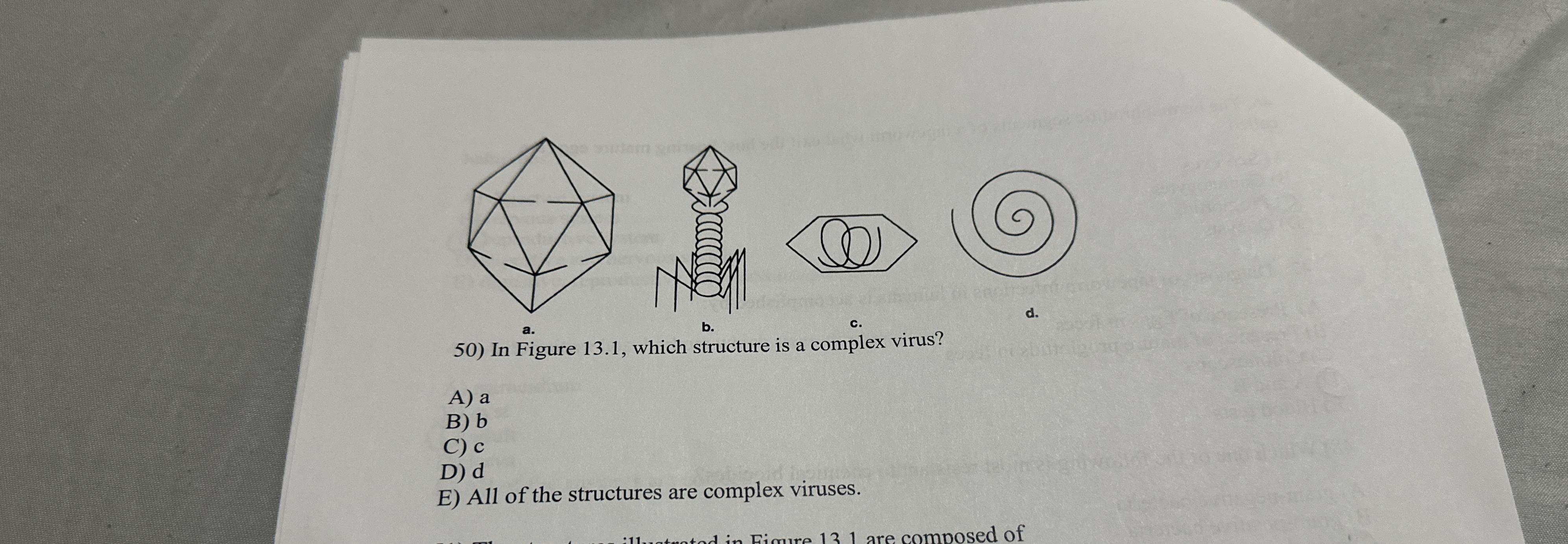 Solved a.b.c.d.In Figure 13.1, ﻿which structure is a complex | Chegg.com