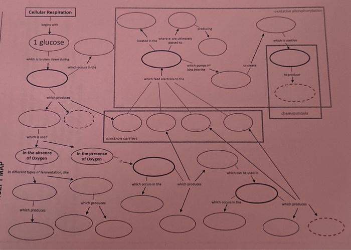 Solved Fill in the Respiration Concept Map | Chegg.com