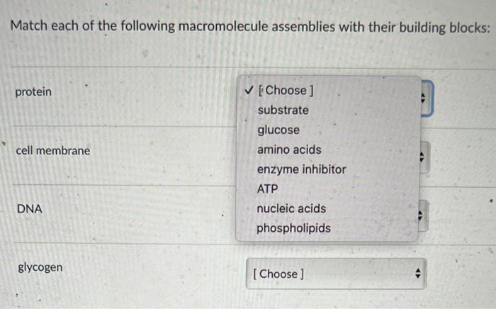 Solved Match each of the following macromolecule assemblies | Chegg.com