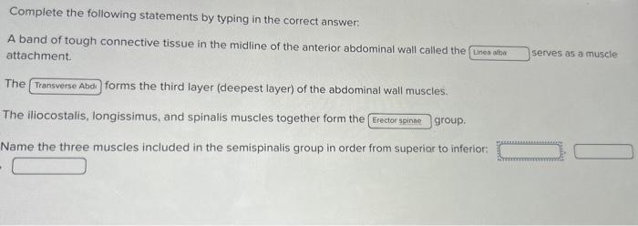 Complete the following statements by typing in the | Chegg.com