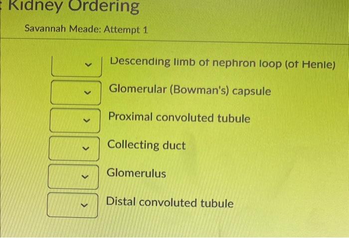 Question 1 1 Point Place The Following Components 
