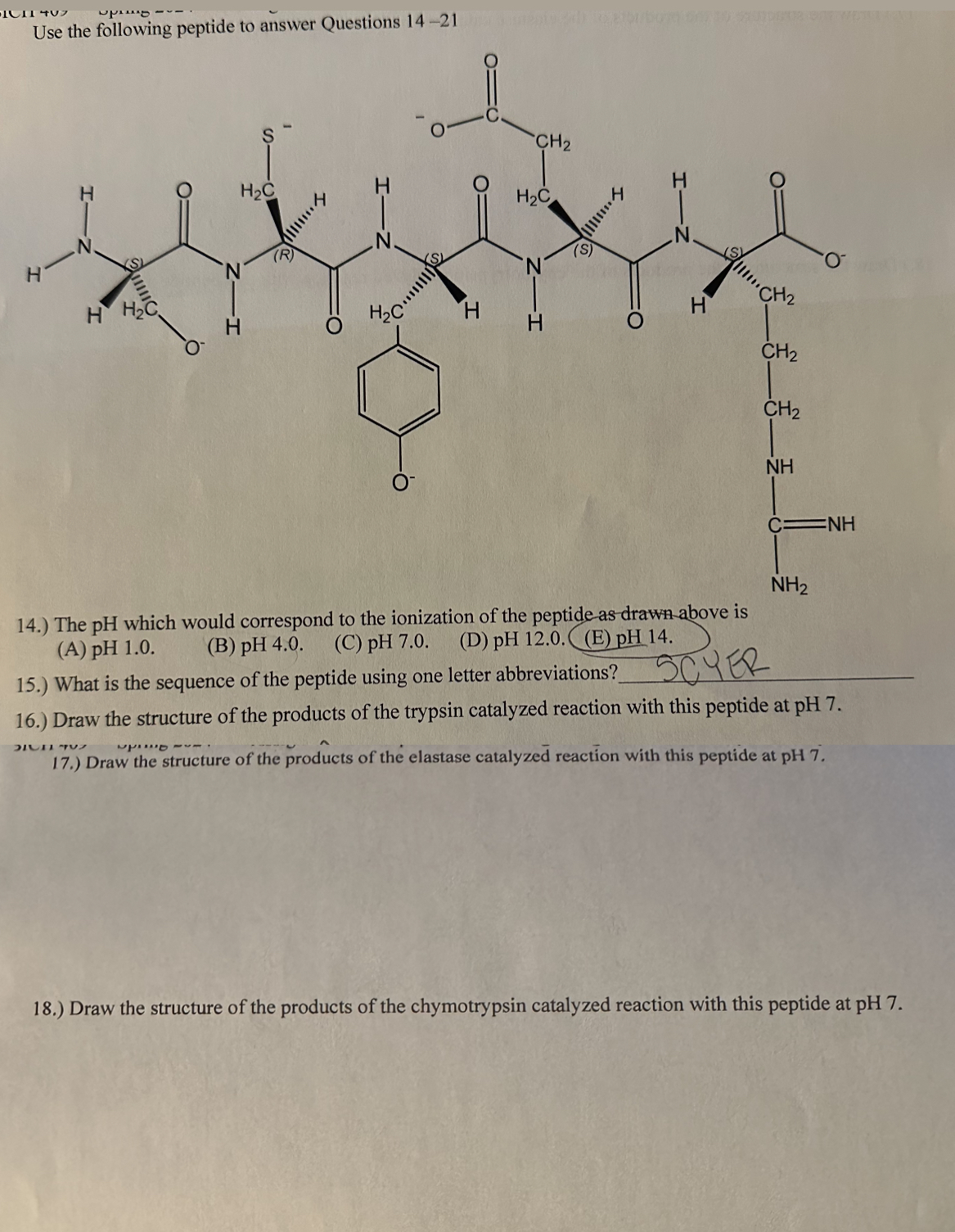 Solved Use the following peptide to answer Questions | Chegg.com