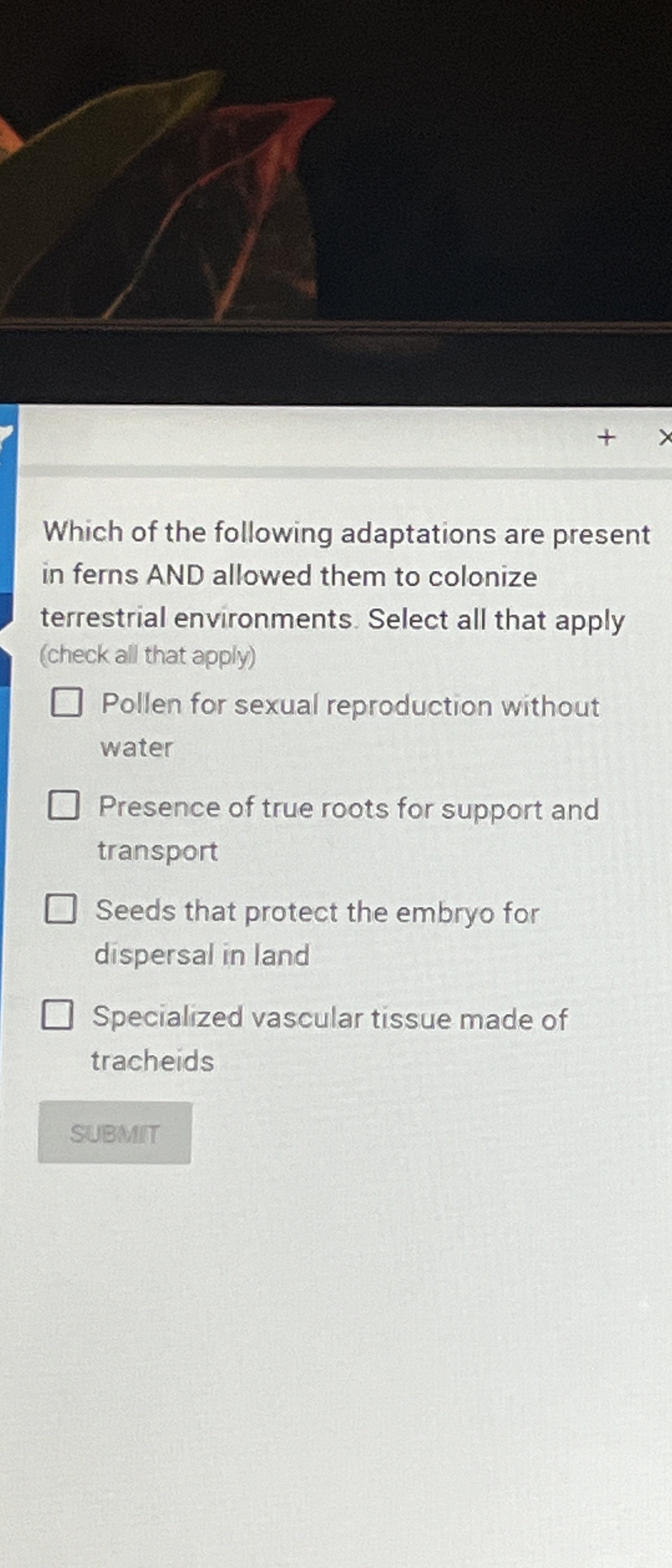Solved Which of the following adaptations are presentin | Chegg.com