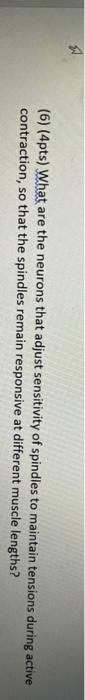 Solved (6) (4pts) What are the neurons that adjust | Chegg.com