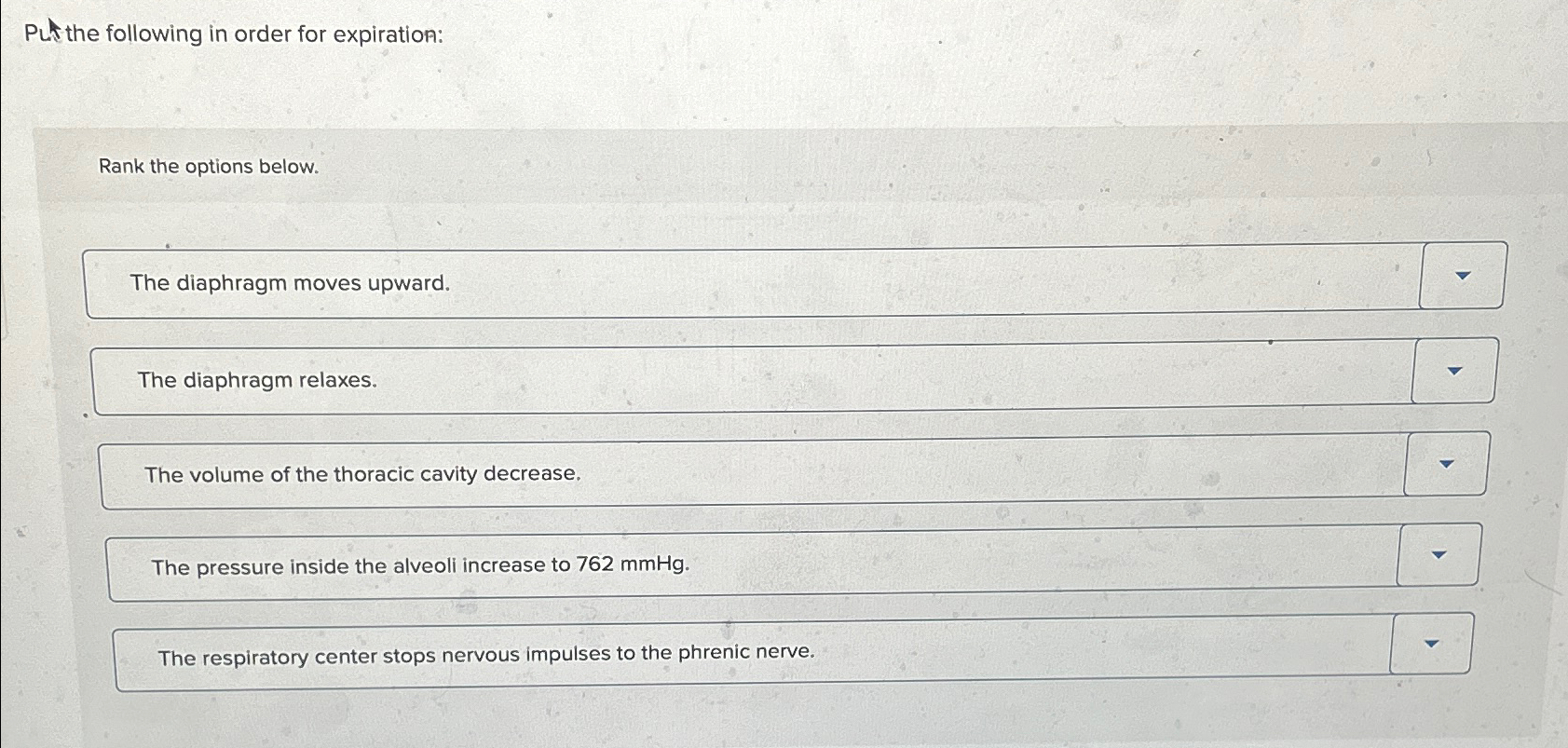 Solved PLt the following in order for expiration:Rank the | Chegg.com