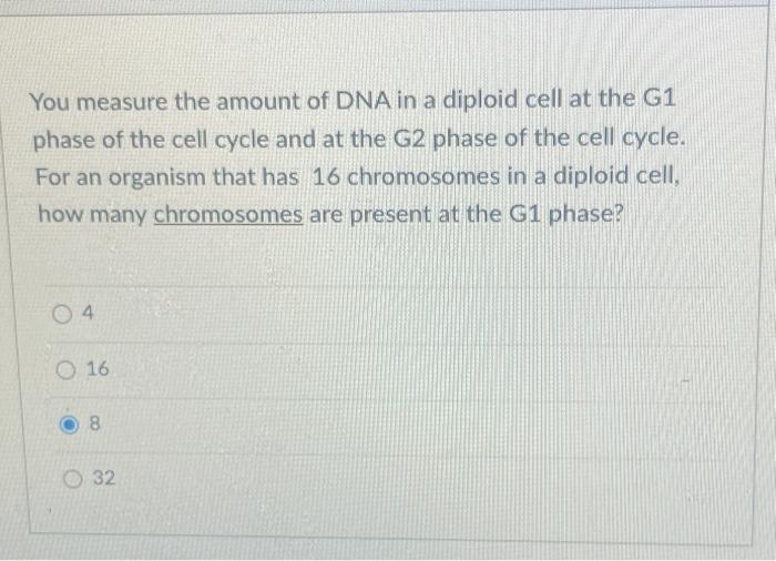Solved You measure the amount of DNA in a diploid cell at | Chegg.com