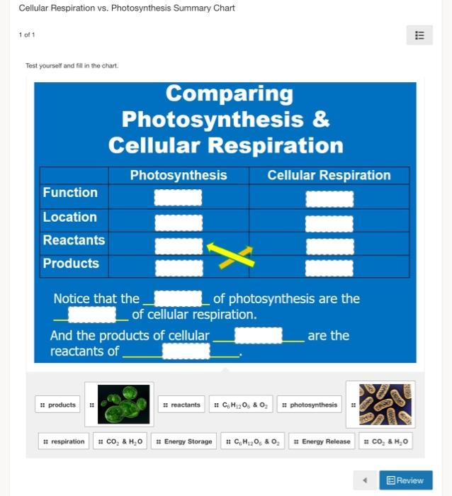 Solved Cellular Respiration vs. Photosynthesis Summary Chart | Chegg.com