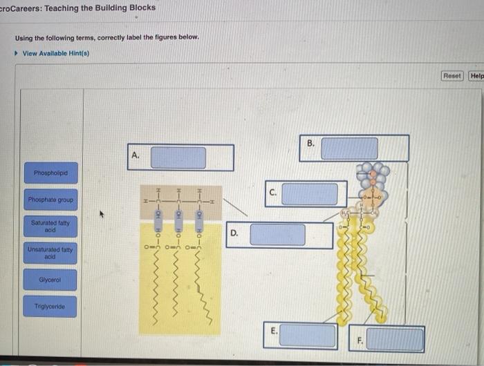 Solved eroCareers: Teaching the Building Blocks Using the | Chegg.com