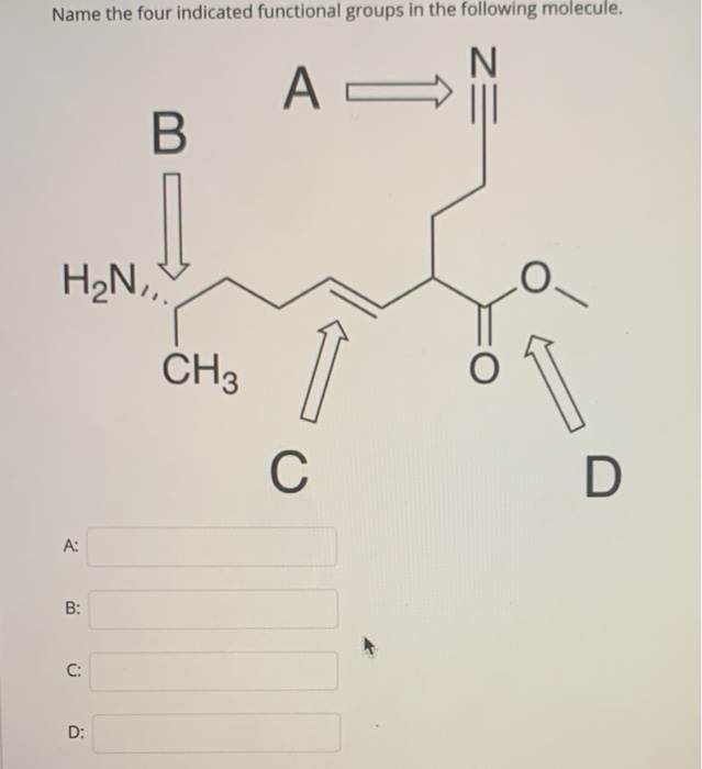 Solved Name the four indicated functional groups in the | Chegg.com