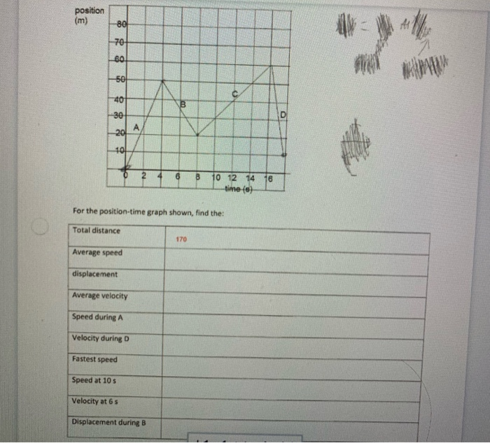 Solved position 8 10 12 14 time (5) 16 For the position-time | Chegg.com