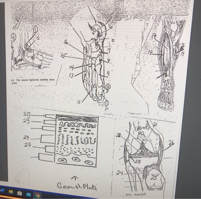 Solved 1 WN 5 6 NNNNNNM LONGO OO 8 9 10 Section II diagrams: | Chegg.com