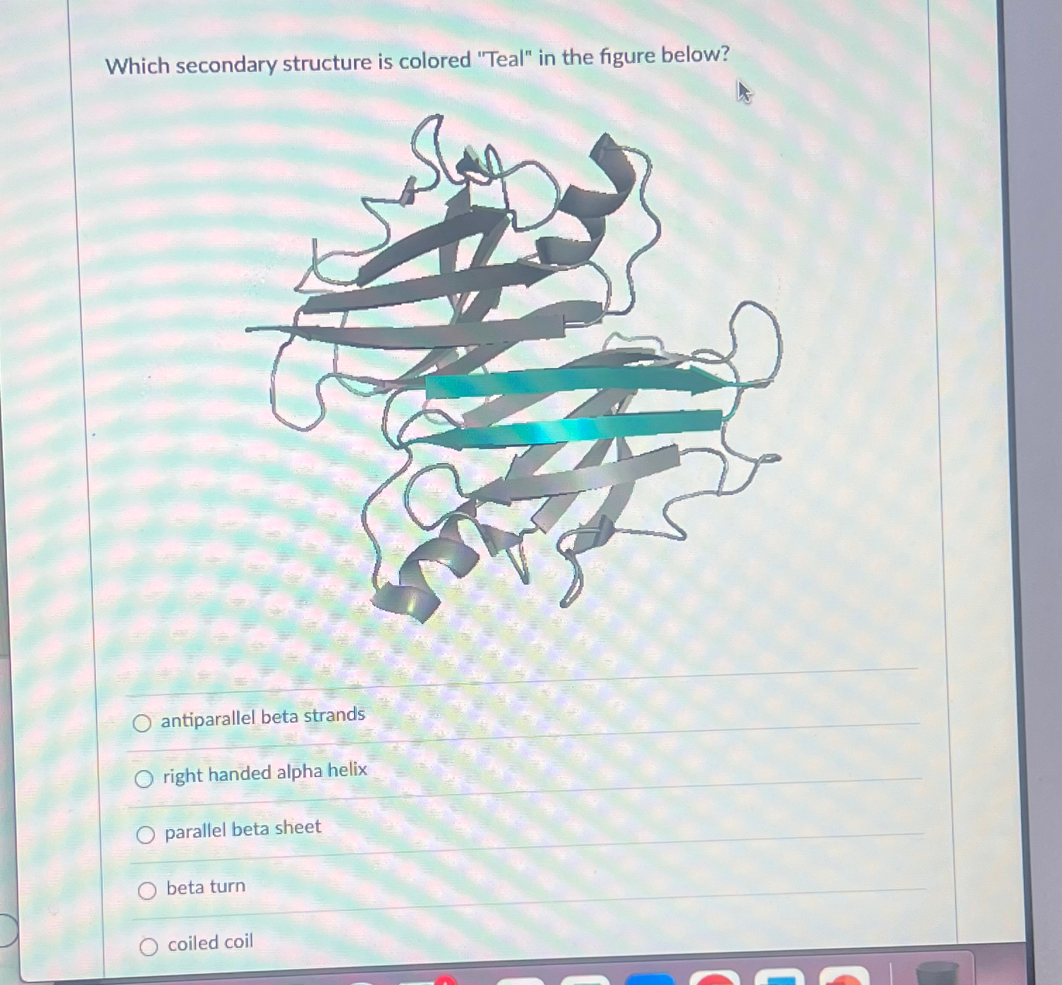 Solved Which secondary structure is colored "Teal" in the | Chegg.com