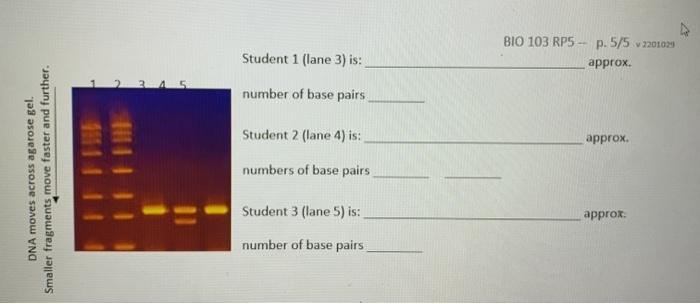 Solved 7. Apply what you learned about PTC taste testing | Chegg.com