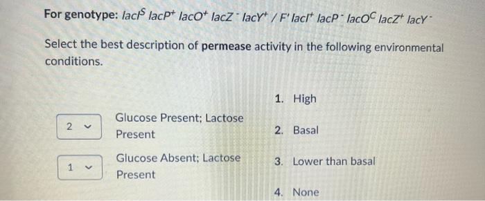 Solved For genotype: laclS lacP+ lacO+ lacZ- lacY+/ F' lacl+ | Chegg.com