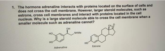 Solved 1. The hormone adrenaline interacts with proteins | Chegg.com