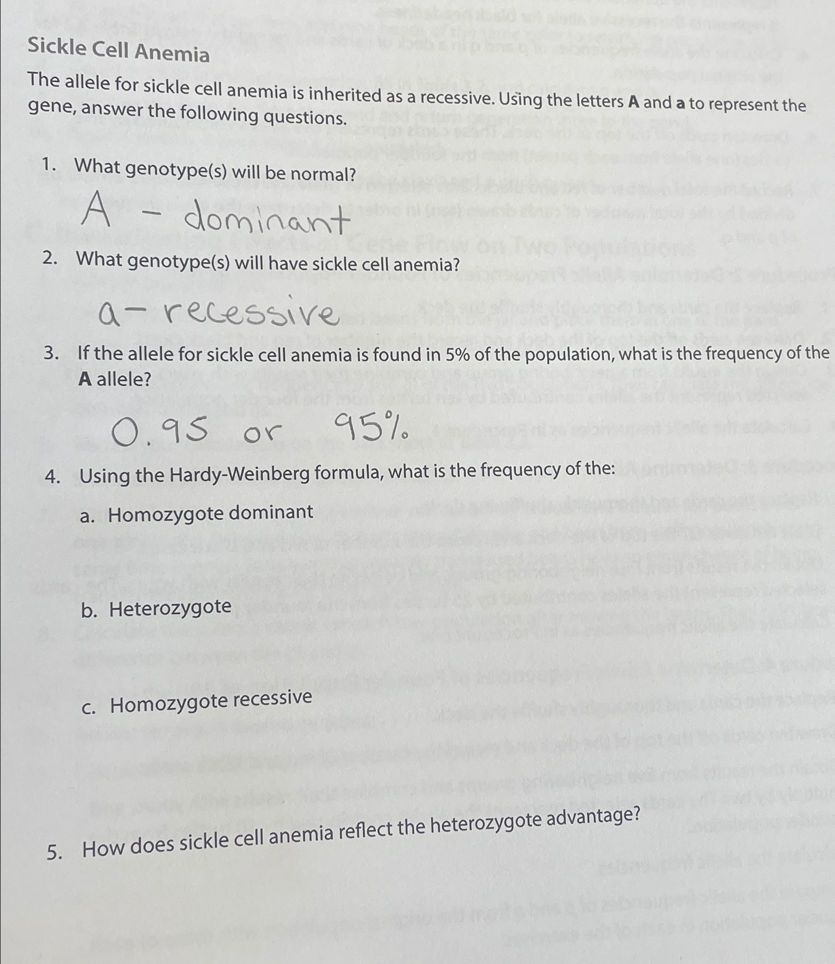 Solved Sickle Cell AnemiaThe allele for sickle cell anemia | Chegg.com