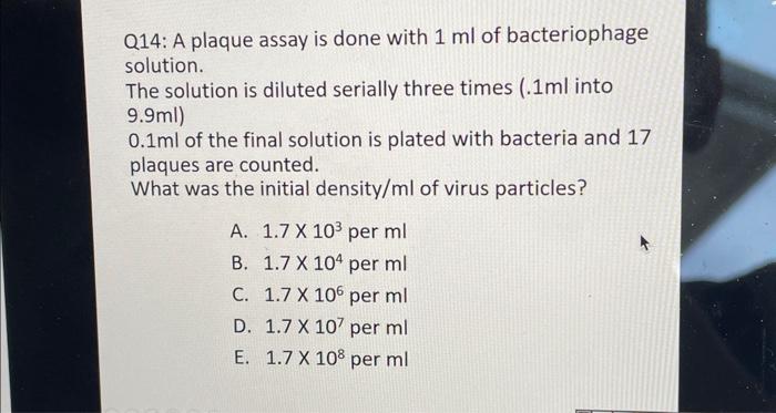 Solved Q14: A plaque assay is done with 1ml of bacteriophage | Chegg.com
