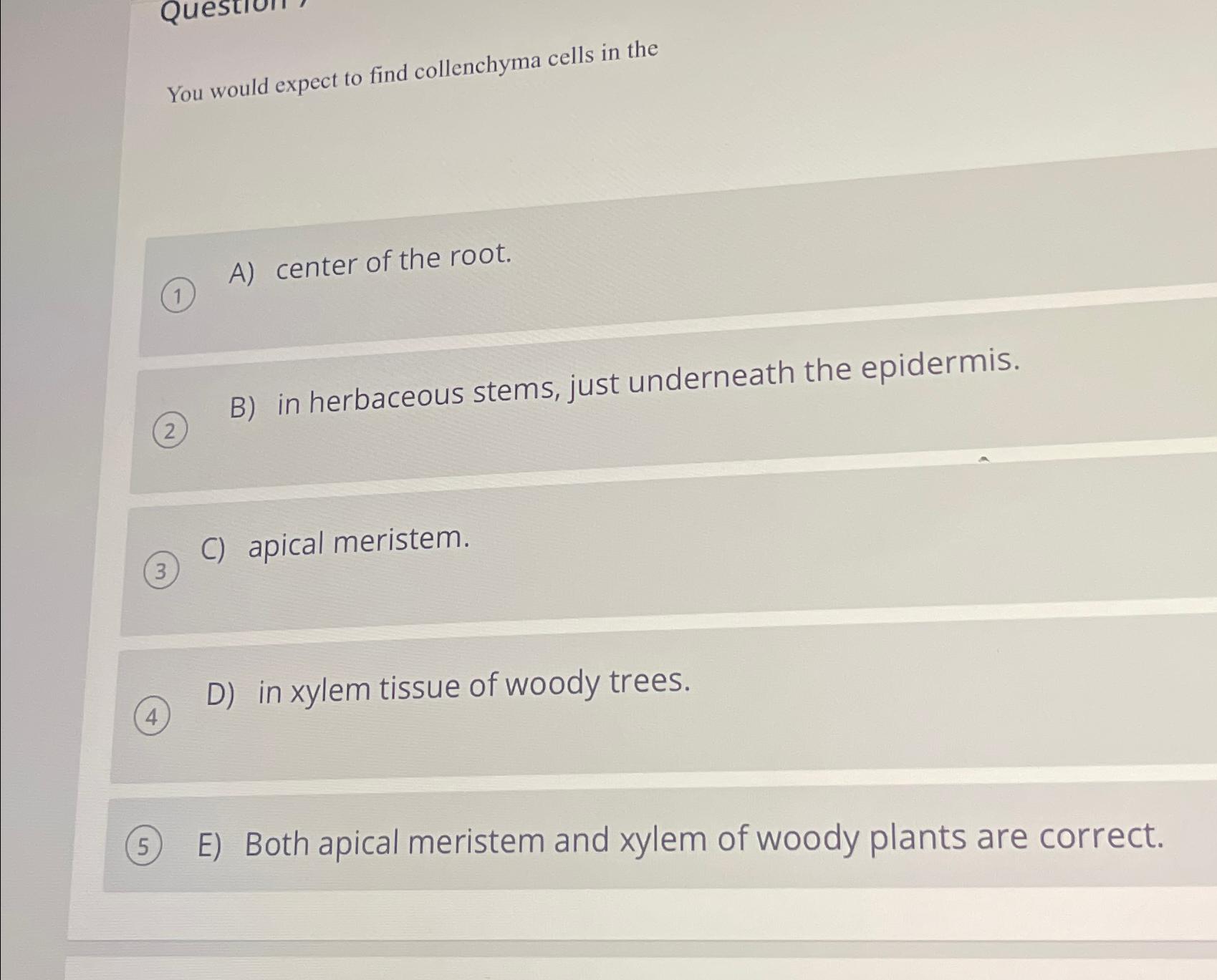 Solved You would expect to find collenchyma cells in theA) | Chegg.com