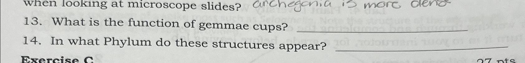 Solved when looking at microscope slides?13. ﻿What is the | Chegg.com