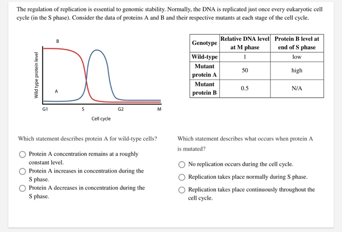 Solved Im having a hard time understanding how to read this | Chegg.com