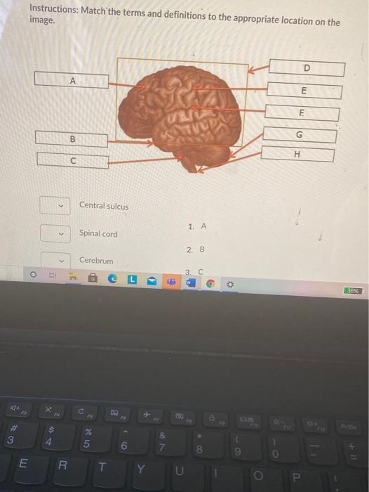 Solved Instructions: Match the terms and definitions to the | Chegg.com