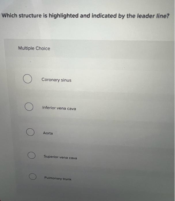 Solved Which structure is highlighted and indicated by the | Chegg.com