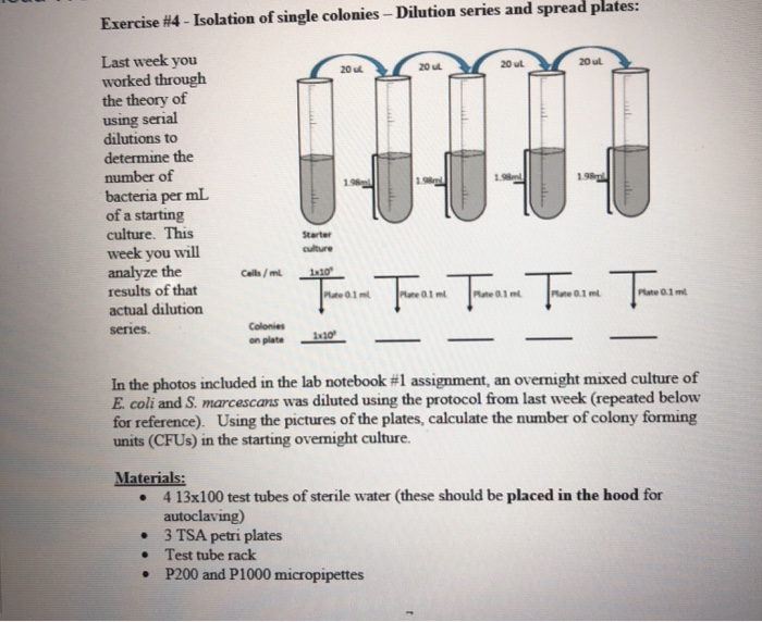 Solved Exercise #14 - Isolation of single colonies - | Chegg.com