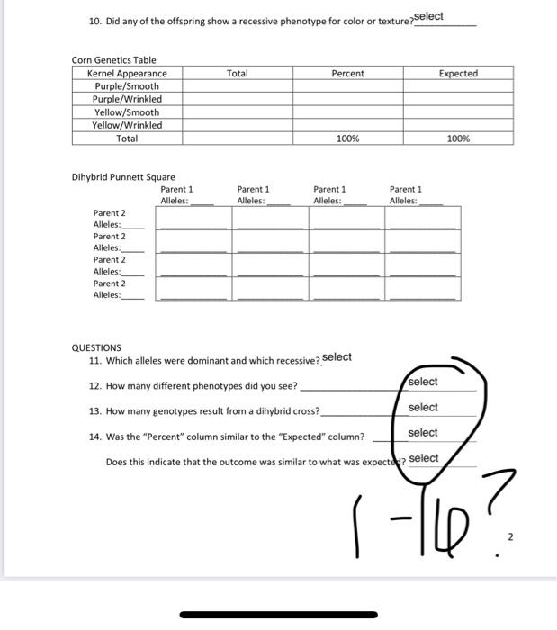 Solved ACTIVITY PROTOCOL 1. You will examine the simulated | Chegg.com