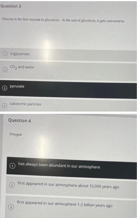 Solved could you please check my answers to see if they are | Chegg.com