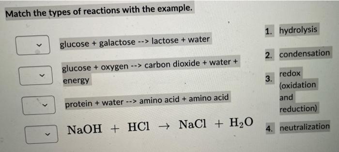 Solved Match the types of reactions with the example. | Chegg.com