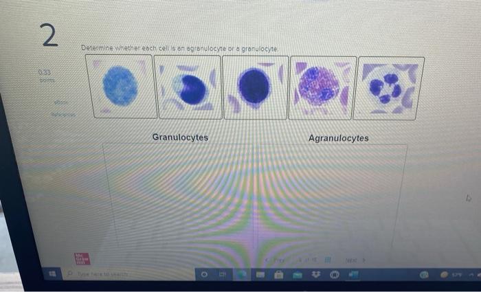 Solved 2 Determine whether each cells an agranulocyte or | Chegg.com