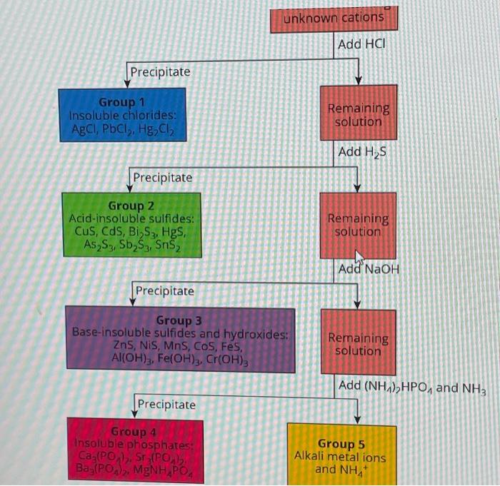 Solved A solution contains an unknown mixture of cations. | Chegg.com